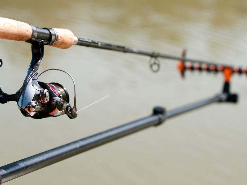 Pêche au feeder - Fédération de la Manche pour la Pêche et la ...